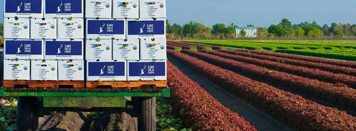 Fresh Organic Produce Along the East Coast - Lady Moon Farms